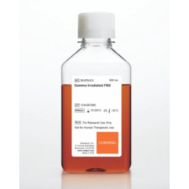 Corning Media Tech Fetal Bovine Serum 15343691 Pack of 1 | AHP Medicals